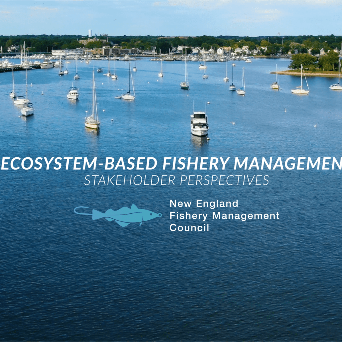 Capabilities - Green Fin Studio